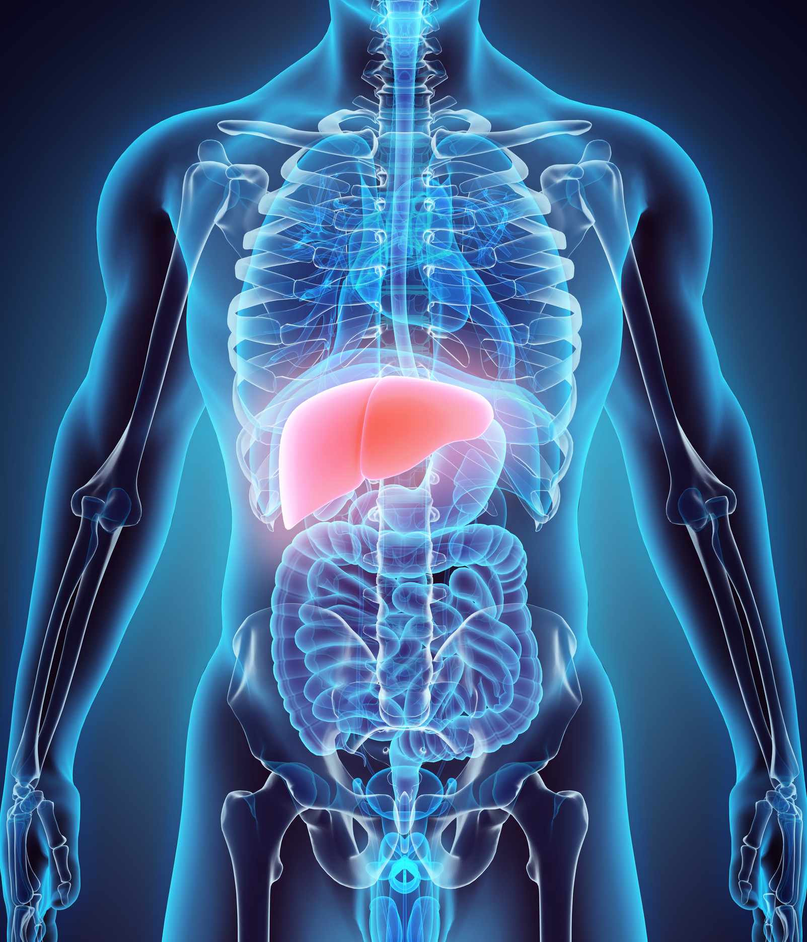 Liver Transplant Incision