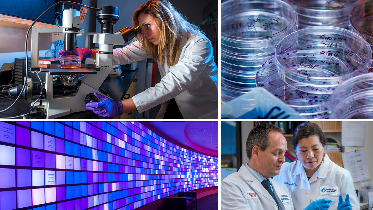 Dana-Farber Research News 12.01.2024 - Dana-Farber