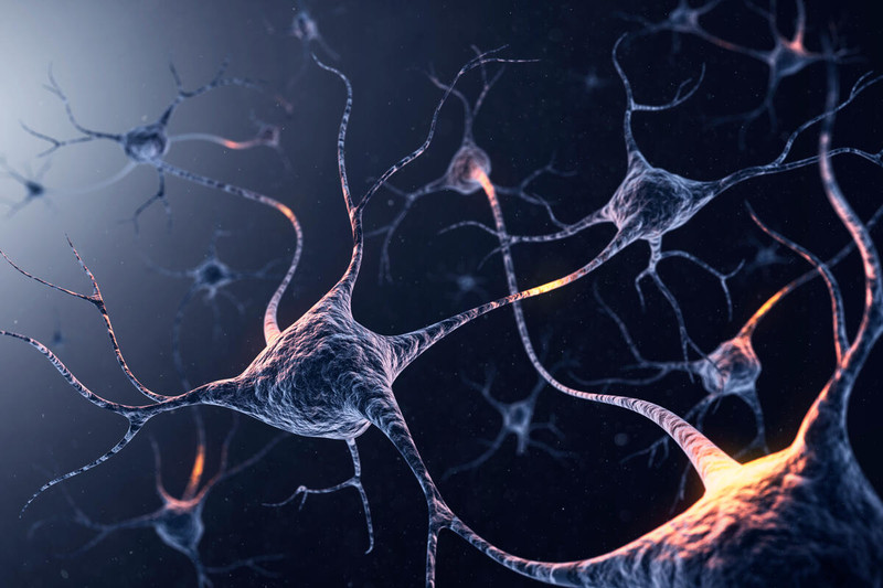 Unlocking the Brain’s Stress-Eating Connection - Cedars-Sinai Pulse