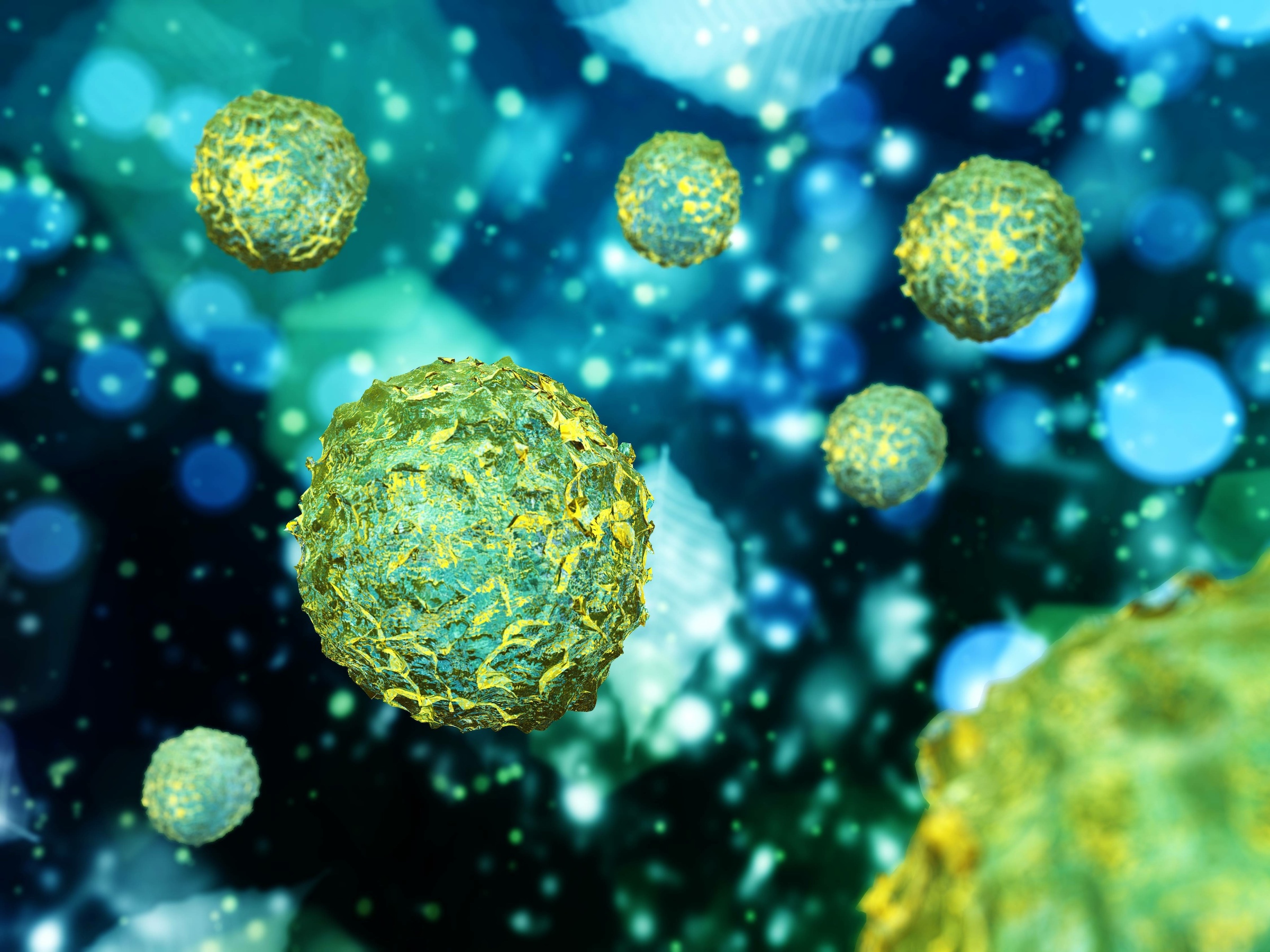 Discovery May Lead to Expanded Donor Pool for Stem Cell Transplants for ...