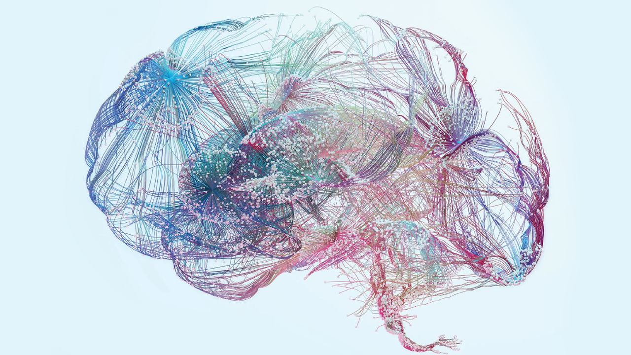 Personalizing Neuromodulation for Neuropsychiatric Disorders - UT ...