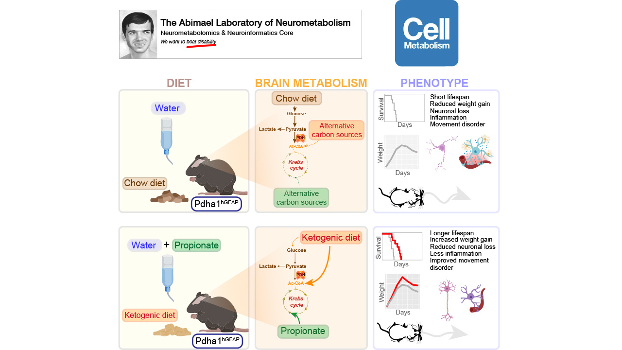 Mount Sinai Researchers Discover Potential New Treatments for Pyruvate ...