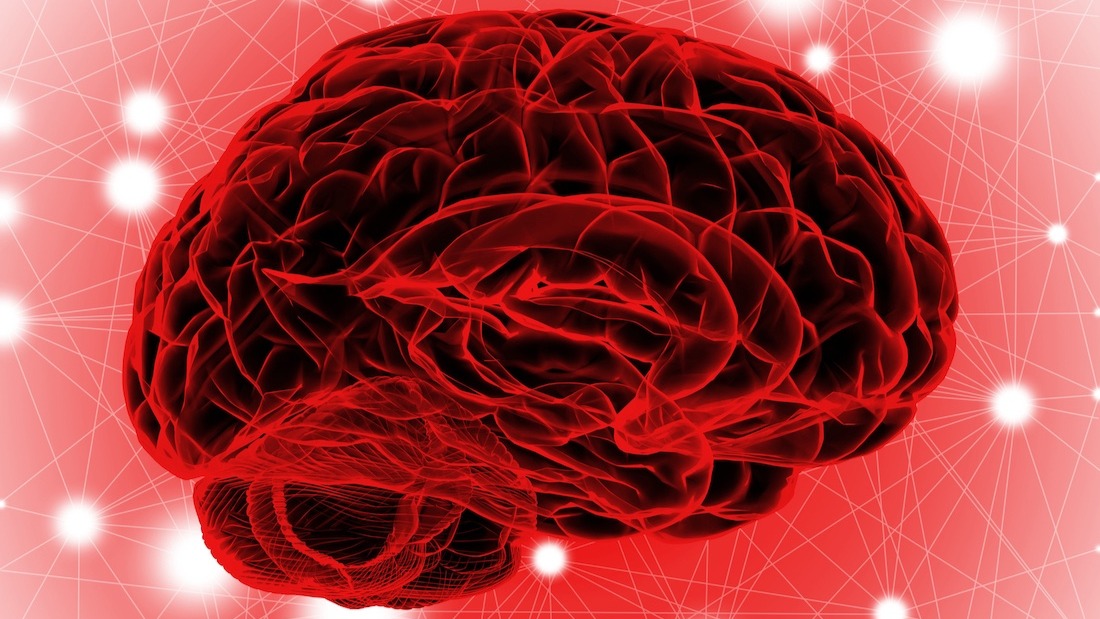 Common analgesic gas aids in opening of blood-brain barrier - UT ...