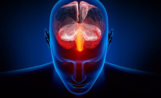 Southern California’s Destination for Skull Base Therapeutics - Keck ...